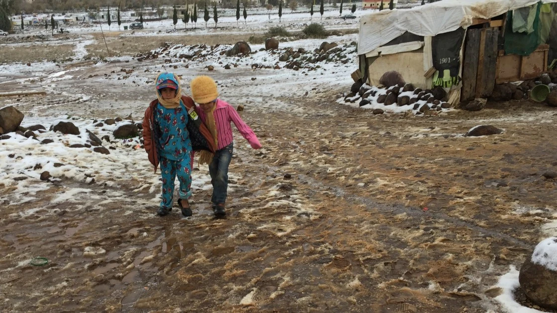 humanitarian causes examples