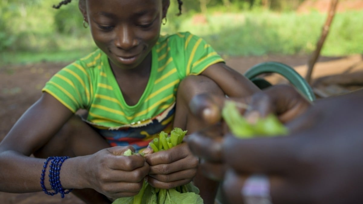 World Hunger Day: Is sustainable progress possible? | Concern Worldwide