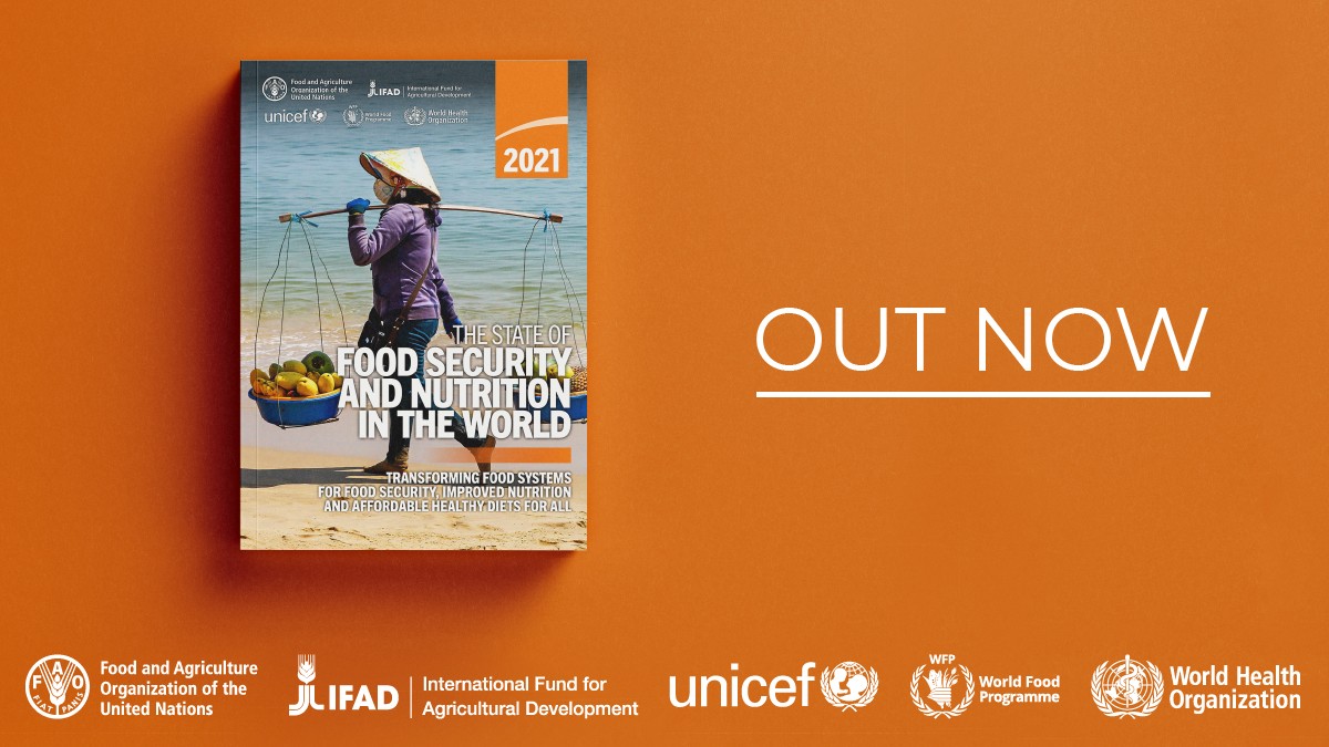 UN food security report highlights scale of challenge facing the world ...