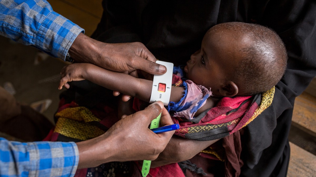 44 nations suffering with serious or alarming hunger levels – new ...