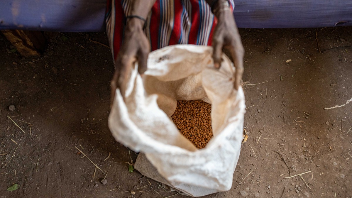 The top 10 causes of world hunger | Concern Worldwide