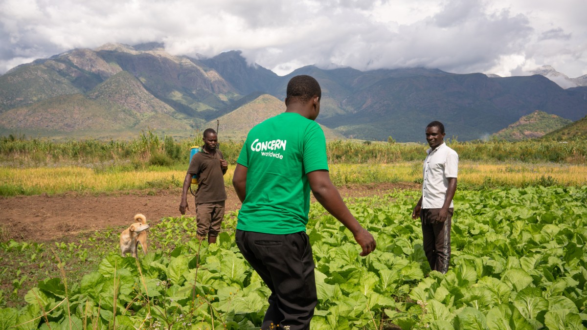 Sign up for Concern's Newsletter | Concern Worldwide