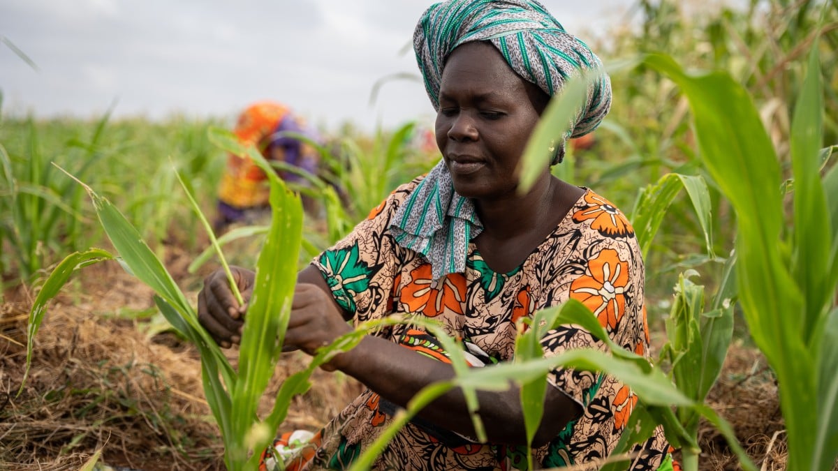 Surviving hunger in East Africa | Concern Worldwide Surviving hunger in East Africa | Concern Worldwide