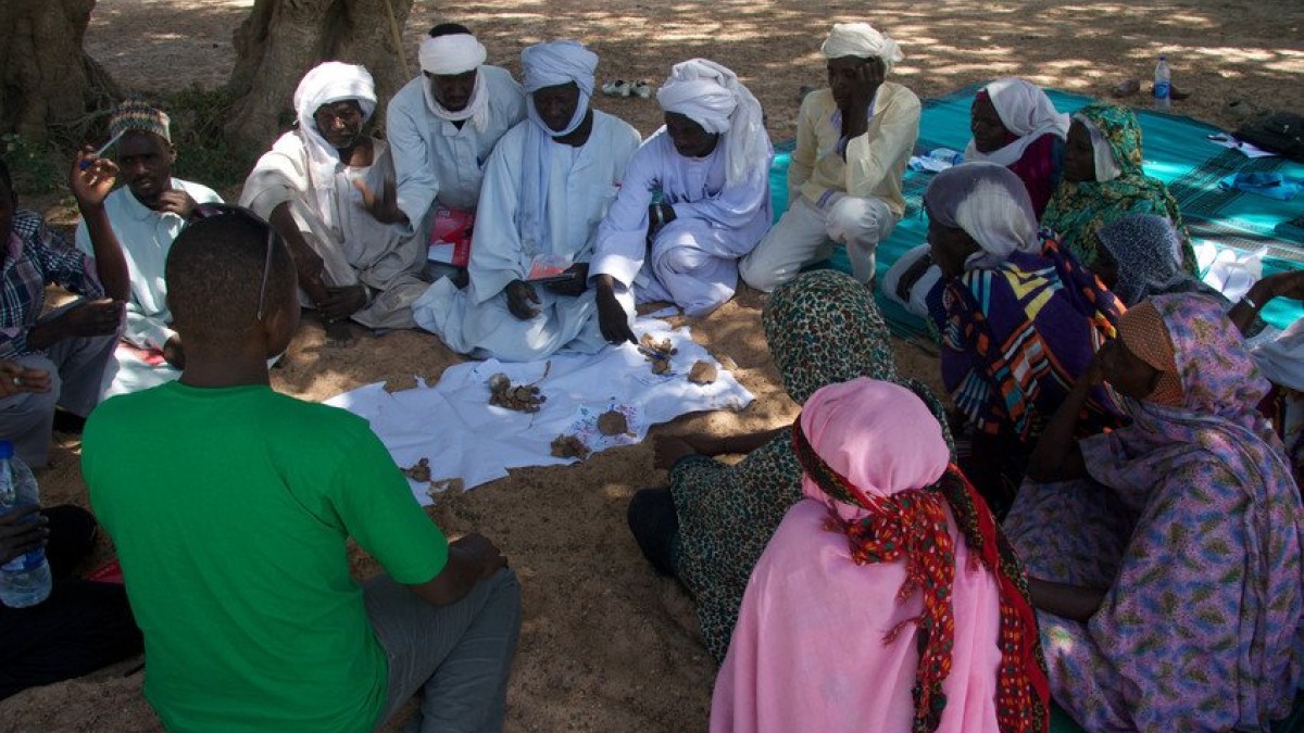 Breaking the cycle of conflict, hunger and human suffering | Concern ...